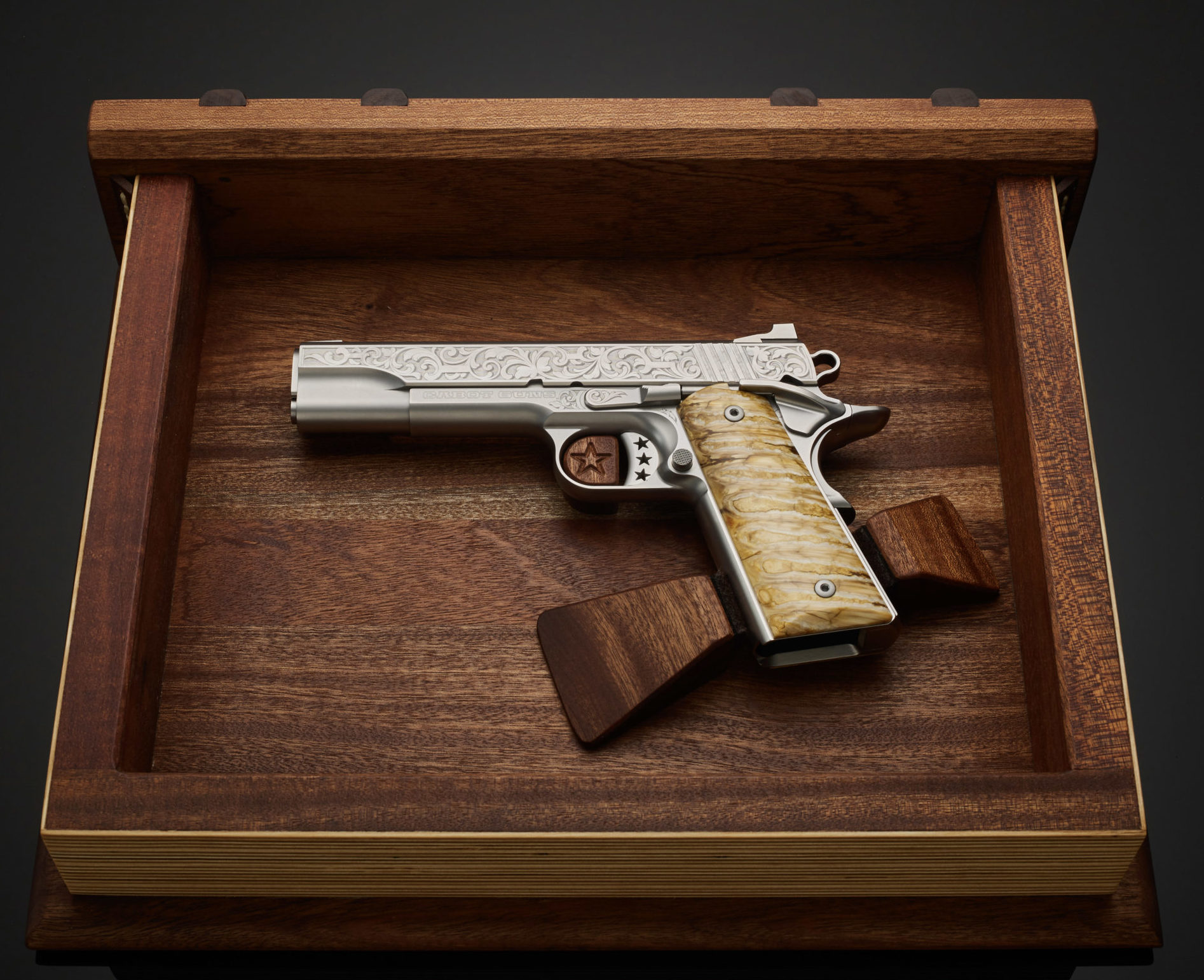 Cabot Titan - Cabot Guns